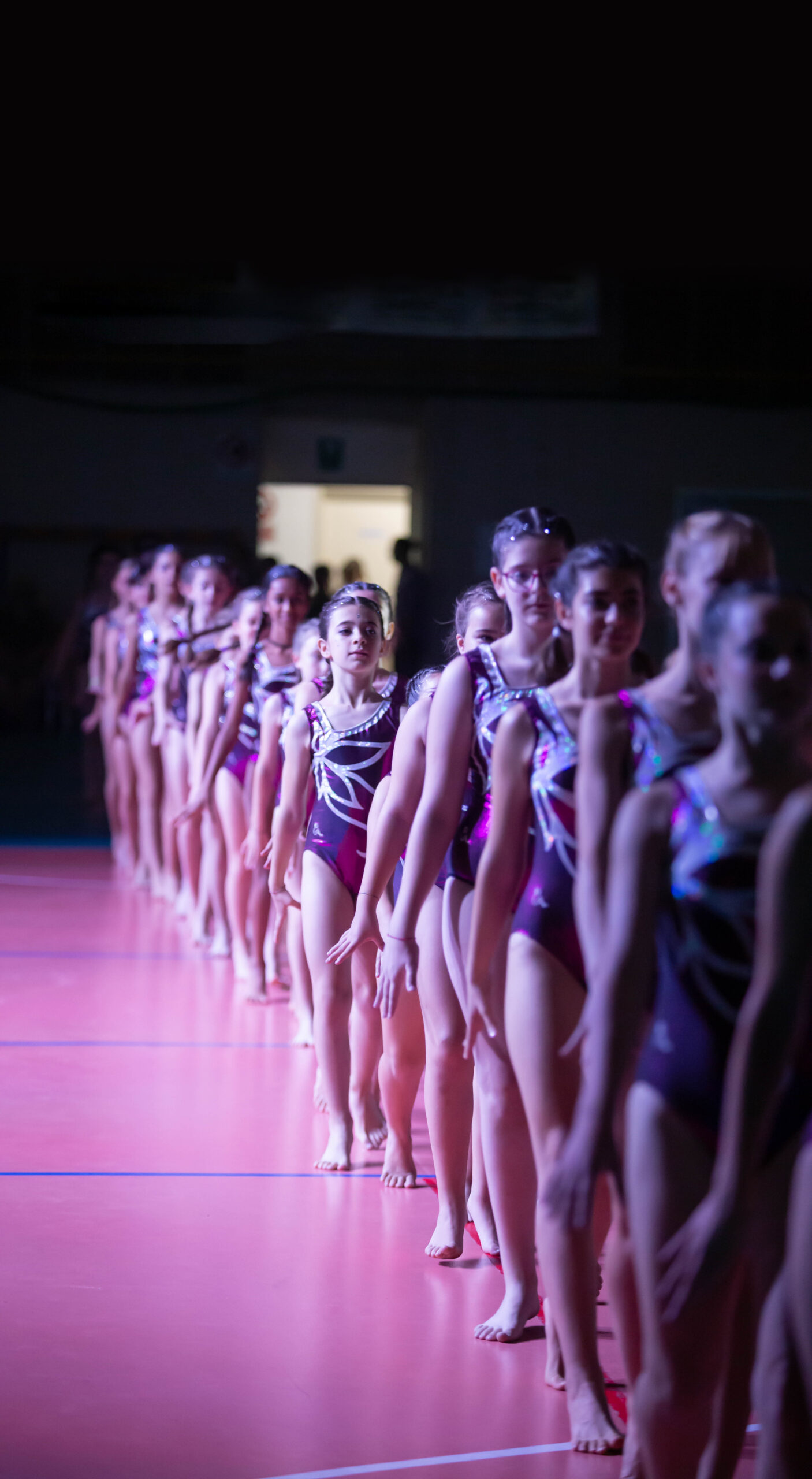 La ginnastica artistica sul territorio orvietano. - Il Vicino